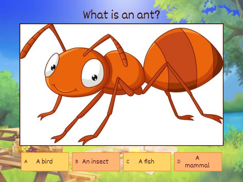 Ant reading comprehension - Quiz