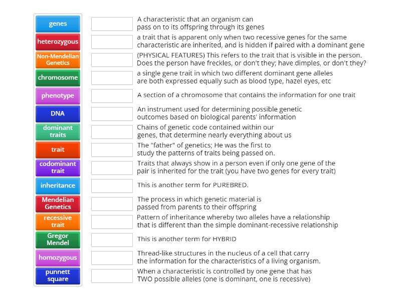 Mendelian vs Non-Mendelian Genetics - Match up