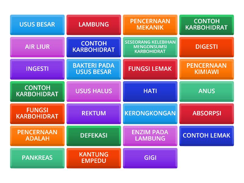 COC IPA MATERI PENCERNAAN MANUSIA - 翻轉卡片