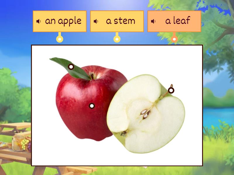 Parts of an apple - Labelled diagram