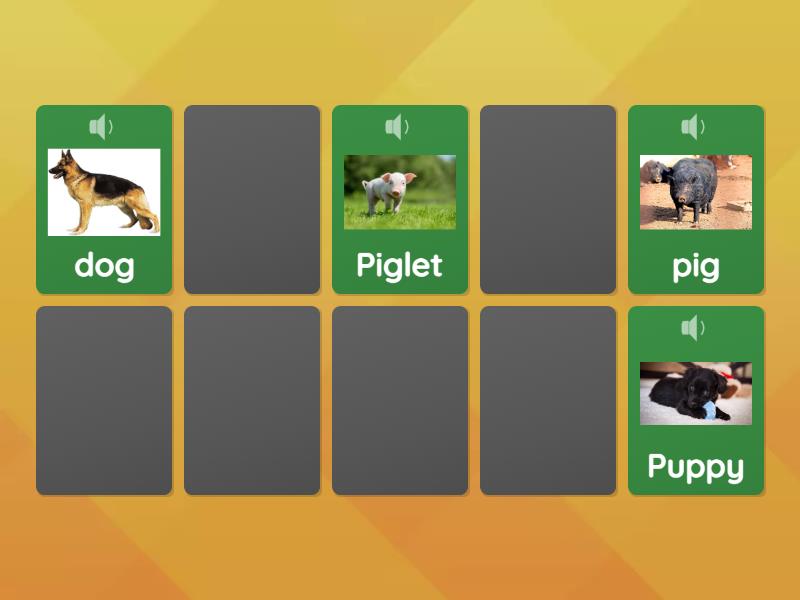 baby animals - Matching pairs