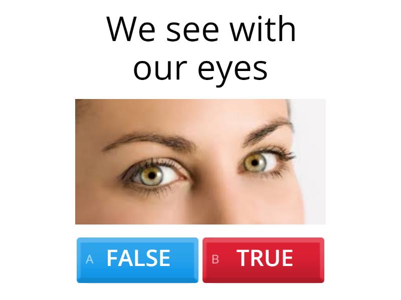 1. The five senses - Quiz