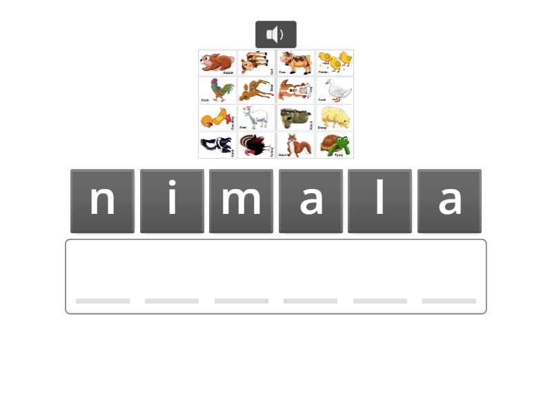 G3.Unit 3. Lesson 1 - Anagrama