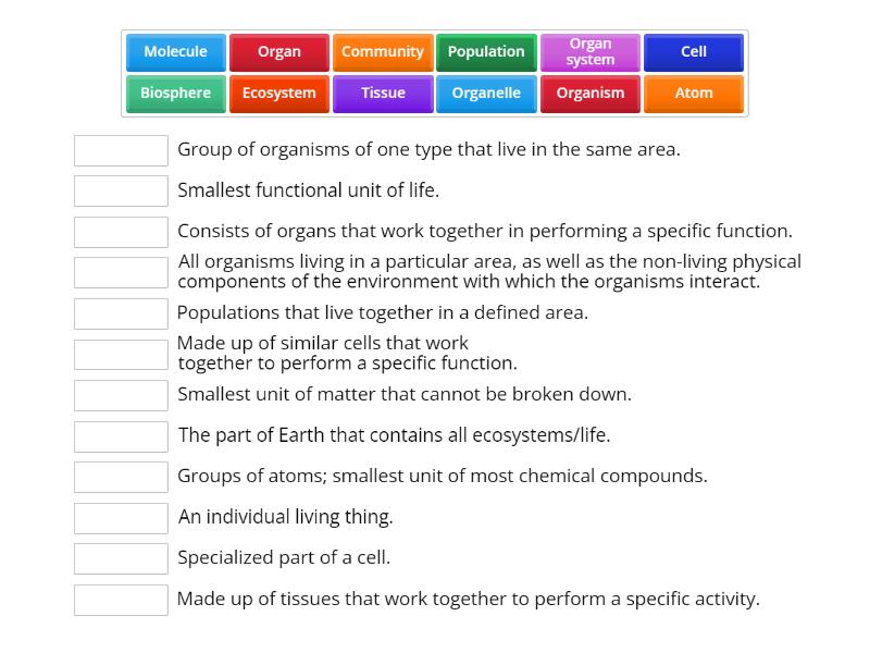 Levels of Organization - Match up