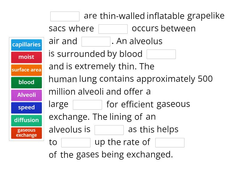 Adaptations of Alveoli - Complete the sentence