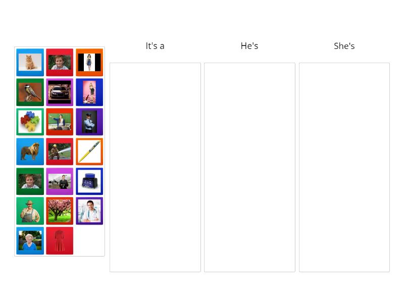 Units 1-6 Revision - Categorize