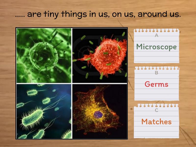 What are germs? - Quiz