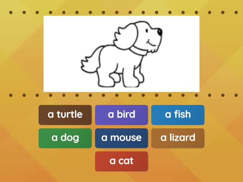 Noisy Animals, Quiet Animals 1 - Find the match