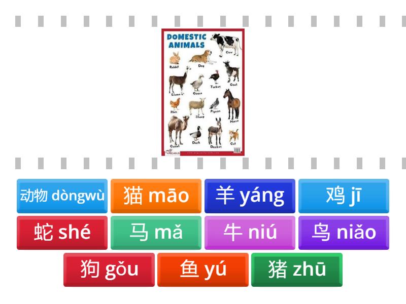 Y3 Animals 动物 (with pinyin) - Find the match