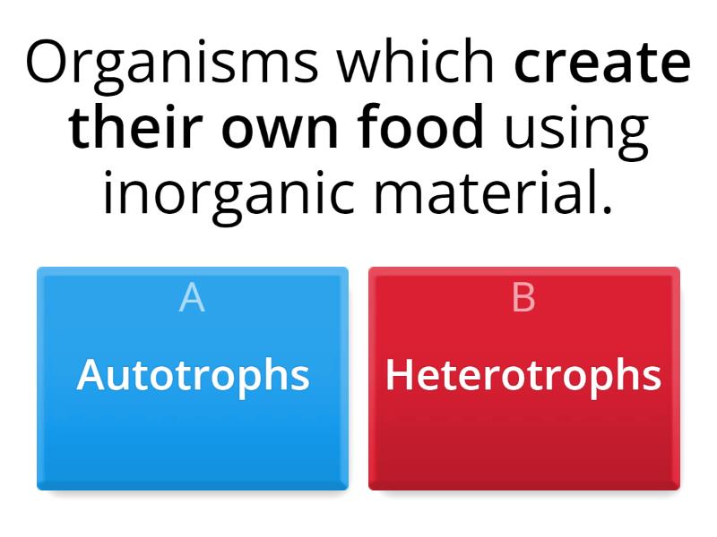 Autotrophs and Heterotrophs - Quiz