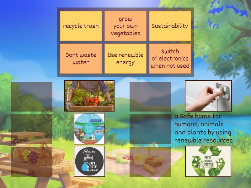 Sustainable quiz - Match up