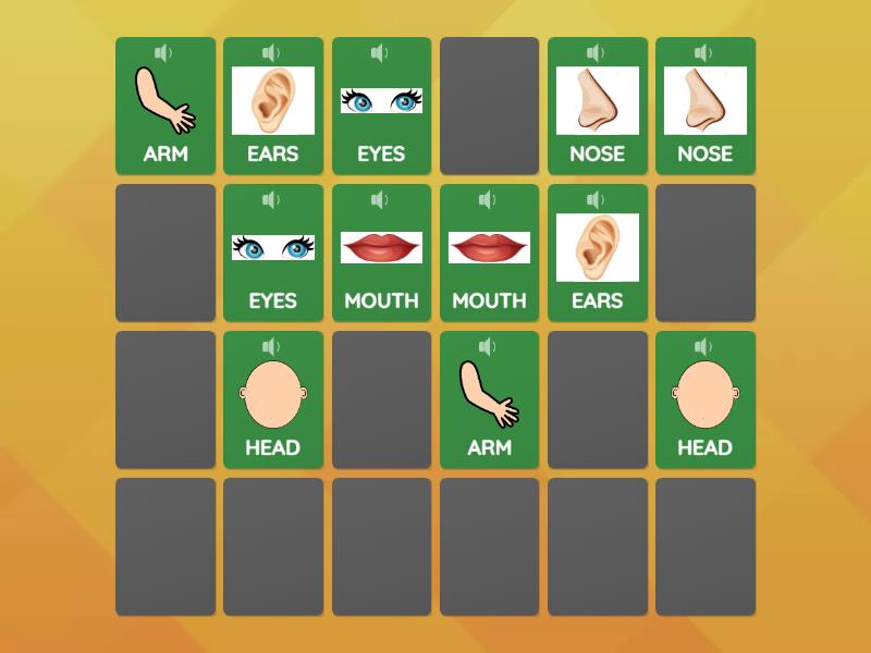PARTS OF THE BODY - Matching pairs