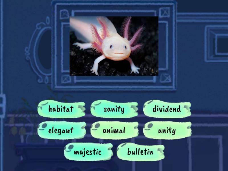 Barton 4.11 - Find the match