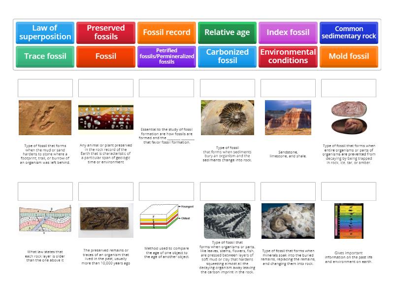 8th grade EOG Review - Match up