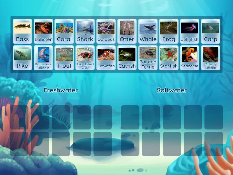Freshwater vs saltwater - Vocabulary - Group sort