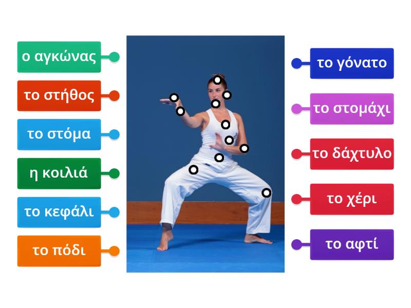 Τα μέρη του σώματος - Labelled diagram