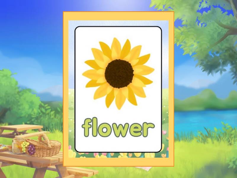 Parts of a plant - Flash cards