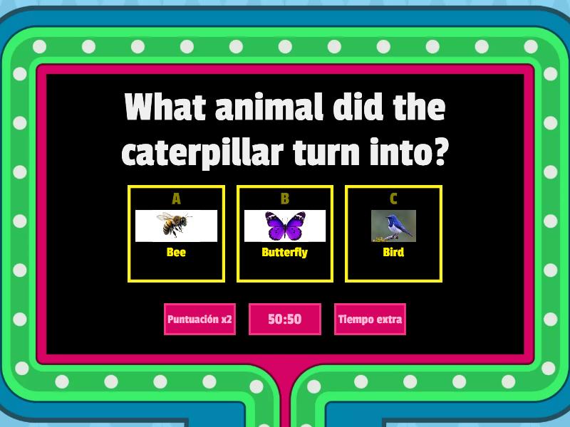 Caterpillar - Gameshow quiz