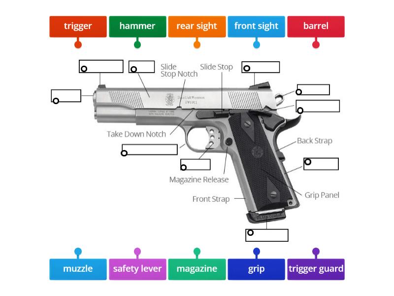 Semi-Automatic Handgun - labels - Labelled diagram