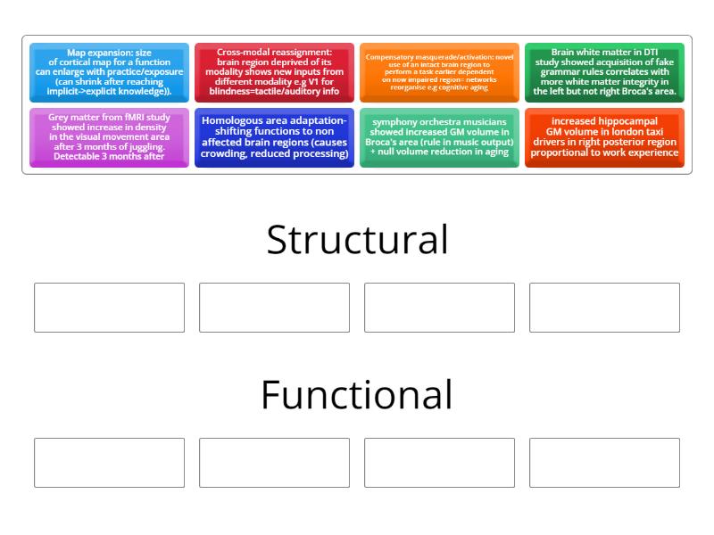 Types of neuroplasticity - Group sort