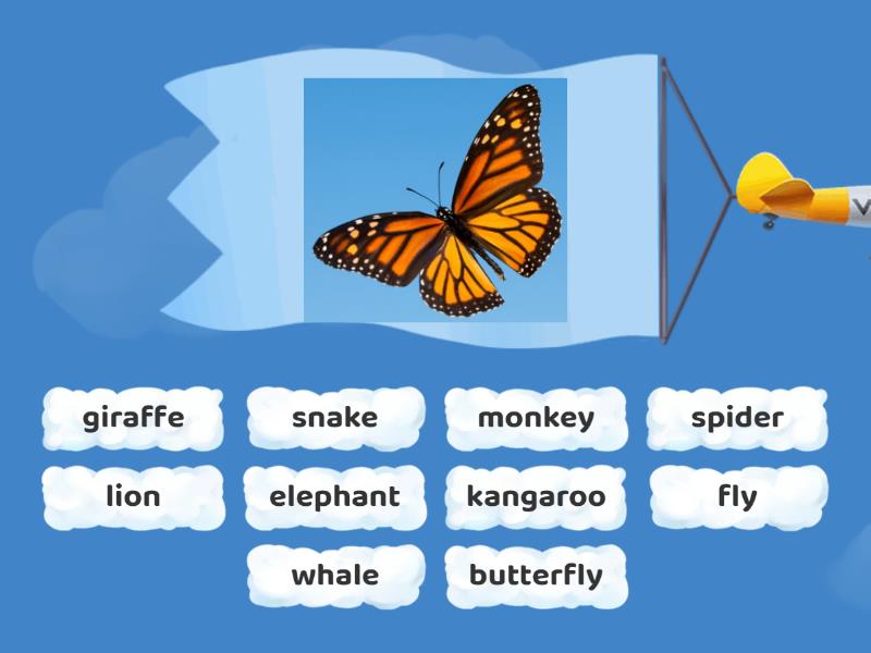 Go Getter 1 7.1 Animals - Find the match
