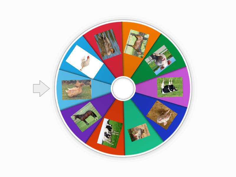 Farm animals - Spin the wheel