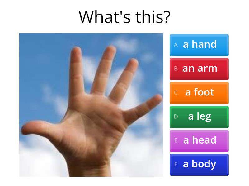 BODY-PARTS - test - Quiz