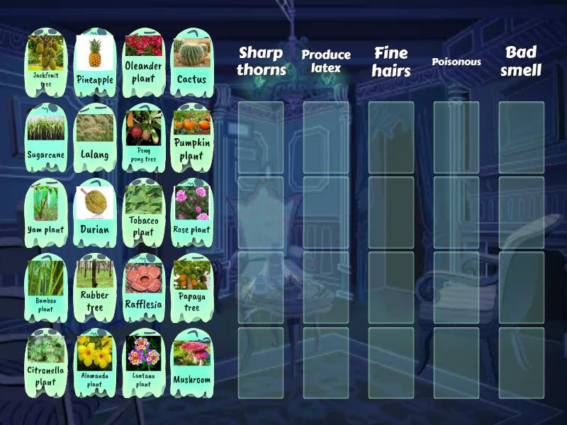 PLANTS: PROTECTION FROM ENEMIES (YEAR 5) LEARNING WITH TEACHER ZIZIE ...