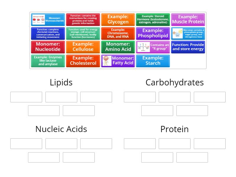 Macromolecules LE - Group sort