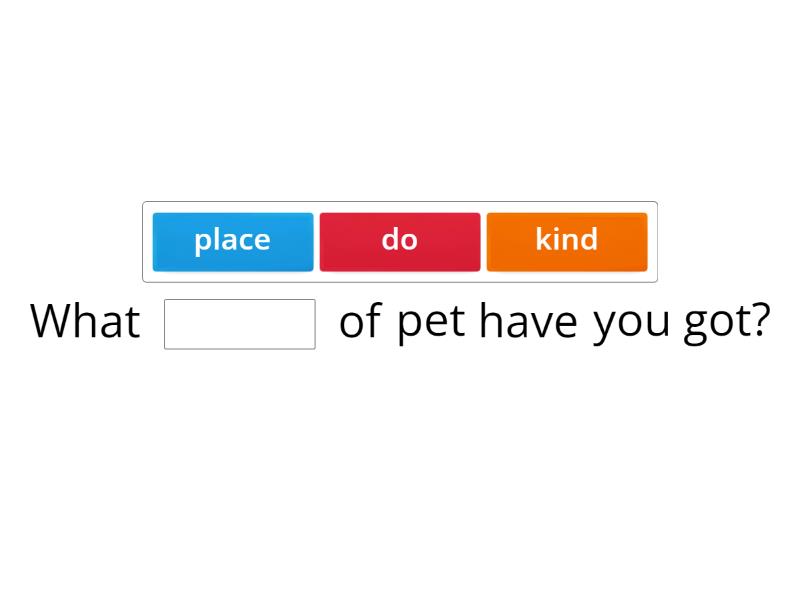 B2/3D - My pet - Complete the sentence