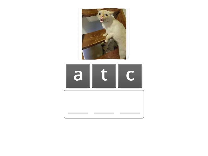 SIS U6 Review L1 - Anagram