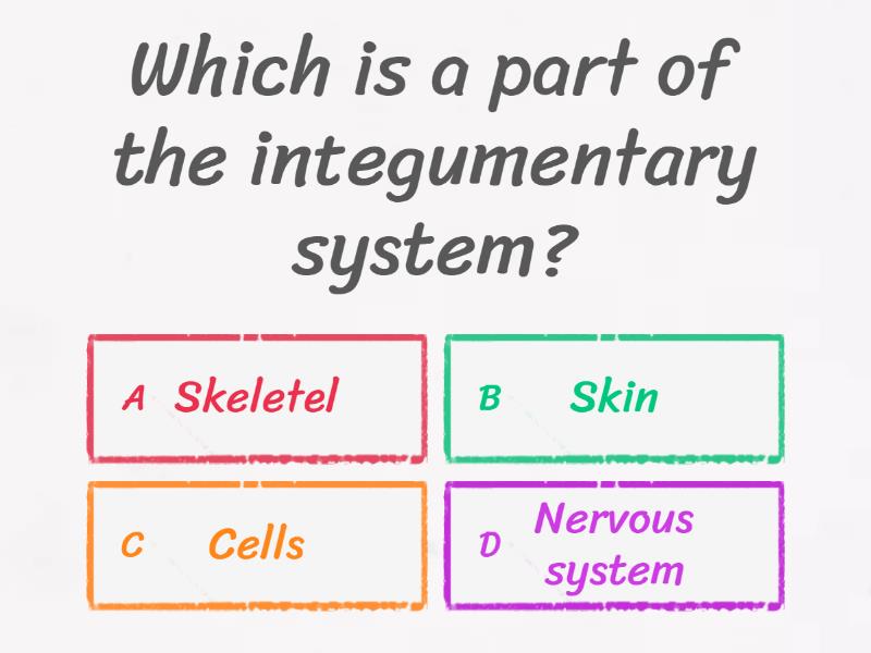 INTEGUMENTARY SYSTEM- Game 1 - Quiz