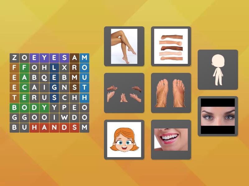 Find body parts - Wordsearch