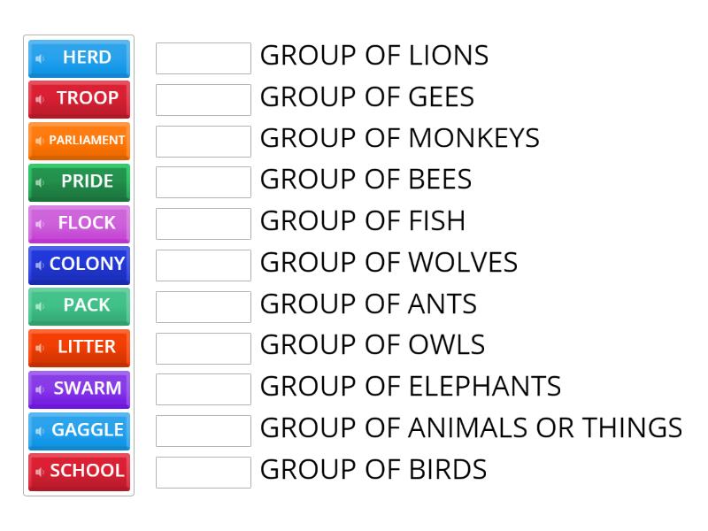 Collective Nouns Game - Match up