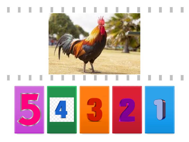 Memilih angka sesuai dengan gambar hewan Ayam - Find the match