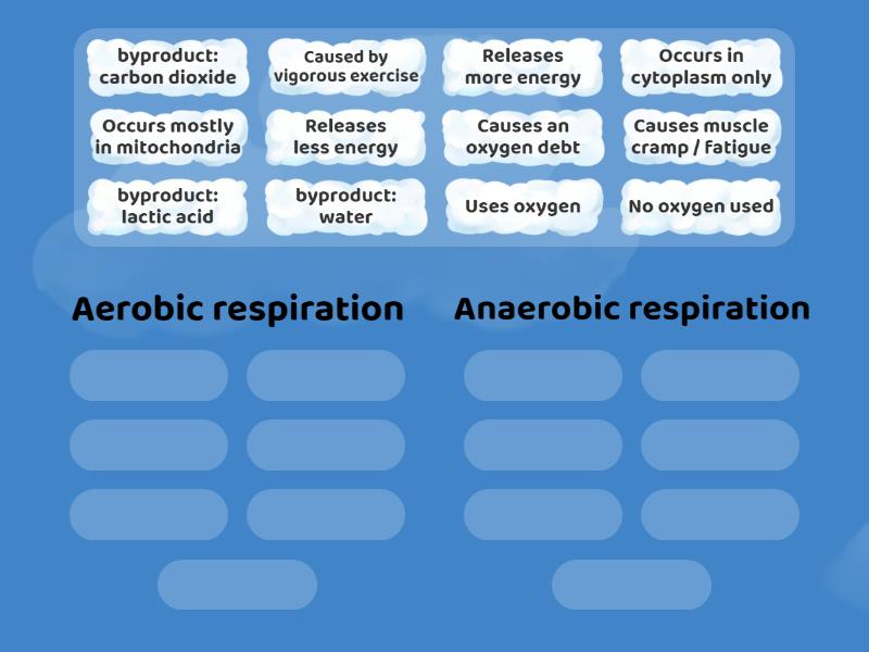 Aerobic respiration vs Anaerobic respiration - Group sort