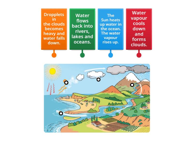 Water cycle - Labelled diagram