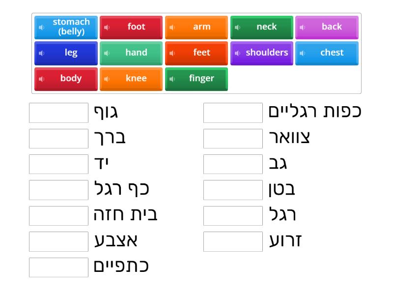 The body vocab - Match up