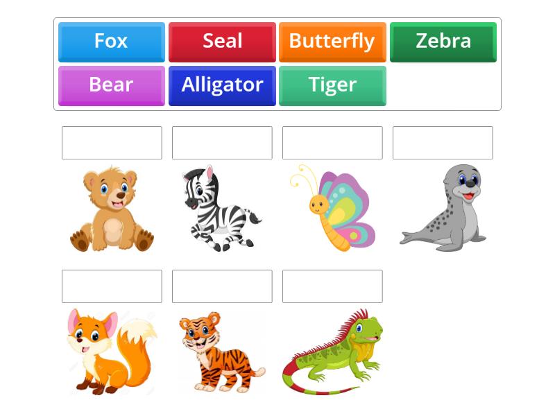 Zoo Animals - Match up