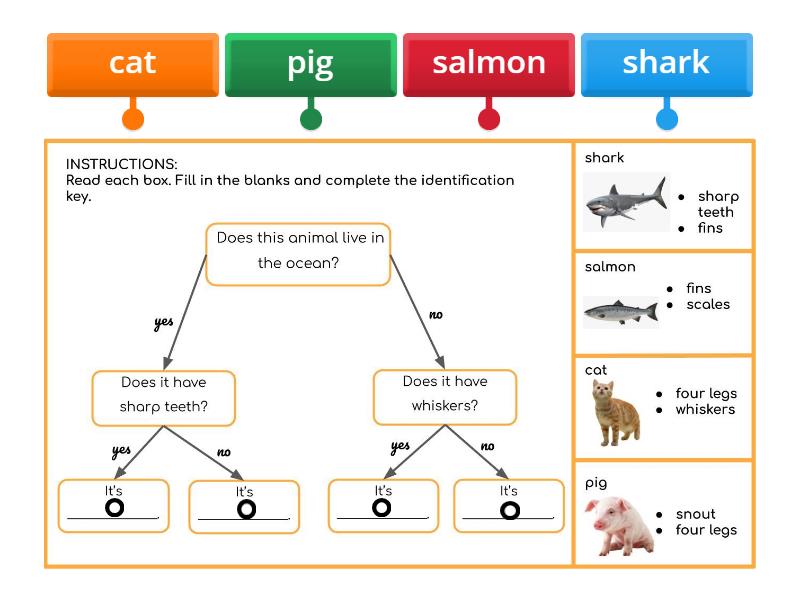 IDENTIFICATION KEY - Labelled diagram
