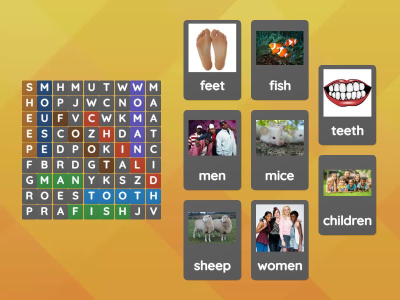 Spotlight 3 Modules 5 Unit 9b Plural noun forms - Wordsearch