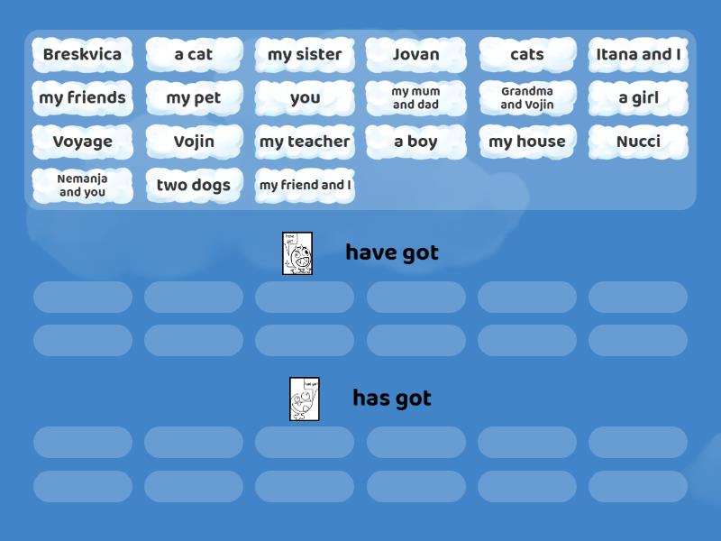 Make a sentence :have got / has got + pronouns - Group sort