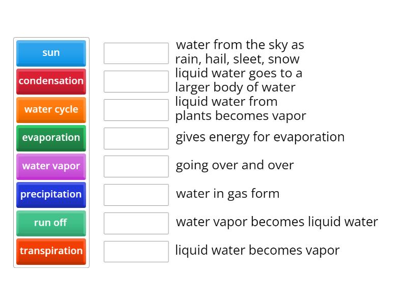 Water Cycle - Match up