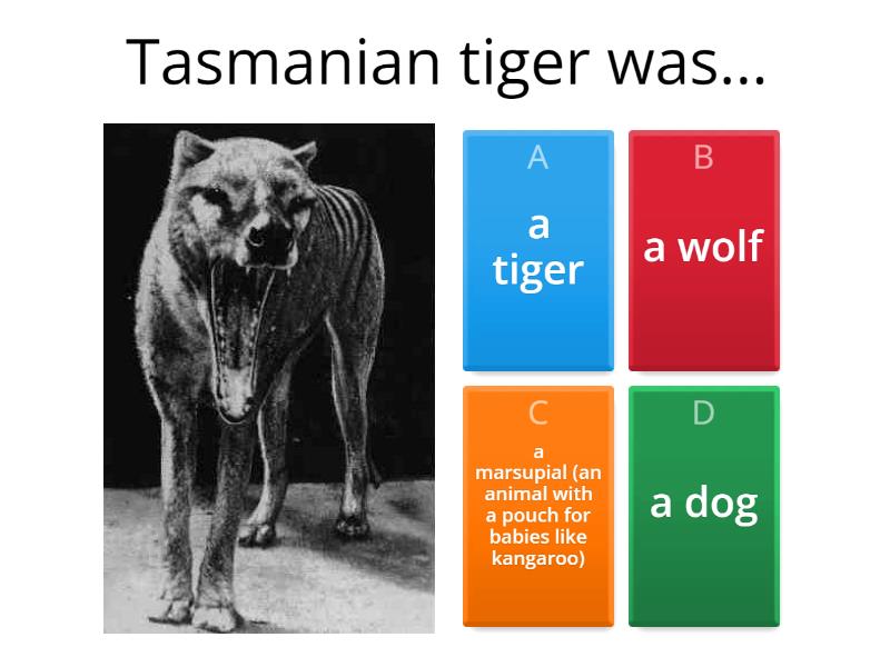 Extinct animals_Get Involved A2 - Quiz