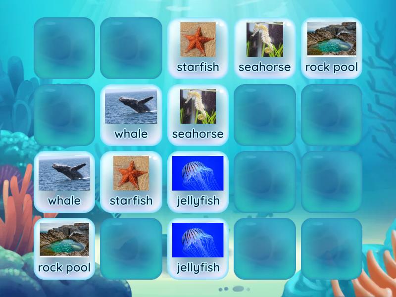 Tiger & Friends 3 - Unit 6 - Review - Matching pairs