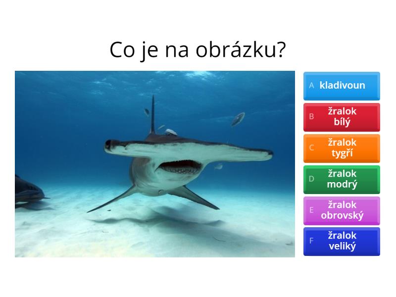 paryby - Quiz
