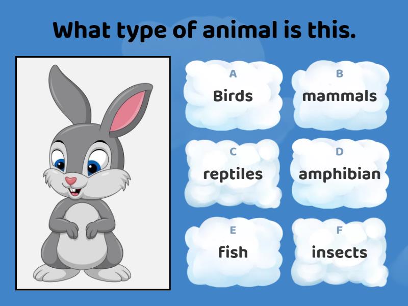 The classification of animals . - Quiz
