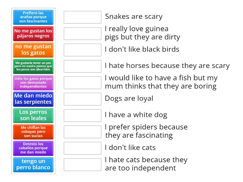 Spanish pets and animals - Match up