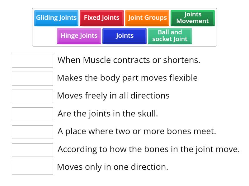 Grade 8 Joints - Match up
