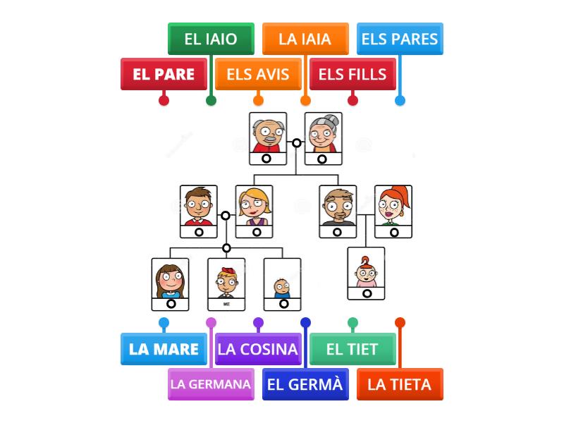 La familia -CATALA - Labelled diagram